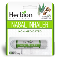 Benzedrex Nasal Decongestant Inhaler with Medicated Vapors - Walmart.com