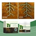 Fiaya Women Plants Rooting Powder, 1Pc 1.76oz/50g Rooting Boost Hormone ...