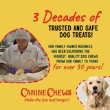 CANINE CHEWS 10" Beef Basted Dog Rawhide Bones | Savory Natural ...