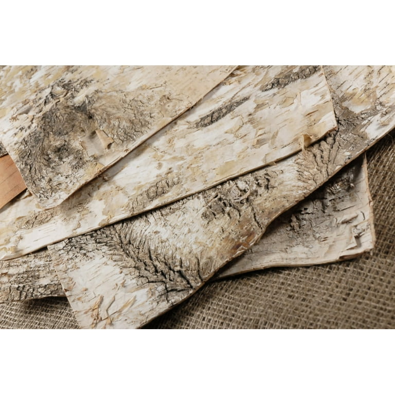 Birch Bark Paper