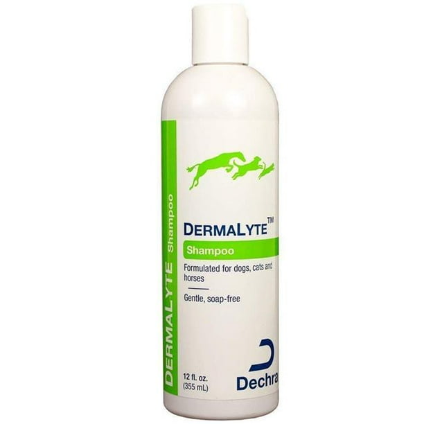 Dechra 192959807134 DermaLyte Shampoo for Cats & Dogs, 12 oz - Walmart ...