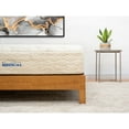 NSC Medical Hybrid Articulating System Double Mattress - Walmart.com