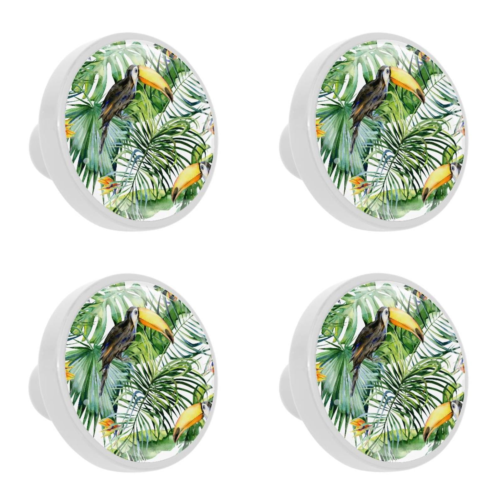 4 Pcs Toucan Knobs for Kitchen Cabinet Cupboard Dresser Bookcase Drawer Pulls Handles Round Home ...