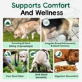 (2 Pack) Food Grade Pet Activated Charcoal Powder, Digestive Health ...