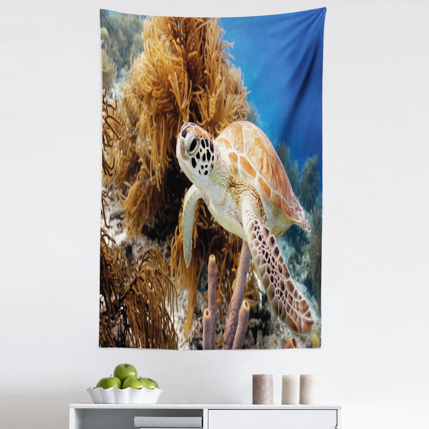 Turtle Tapestry, Coral Reef and Sea Turtle Close up Photo Bonaire ...