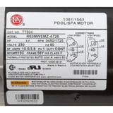 U.S. Motors Emerson 56Y Thru-Bolt Dual Speed 2.5/0.33HP Full-Rated Pool ...