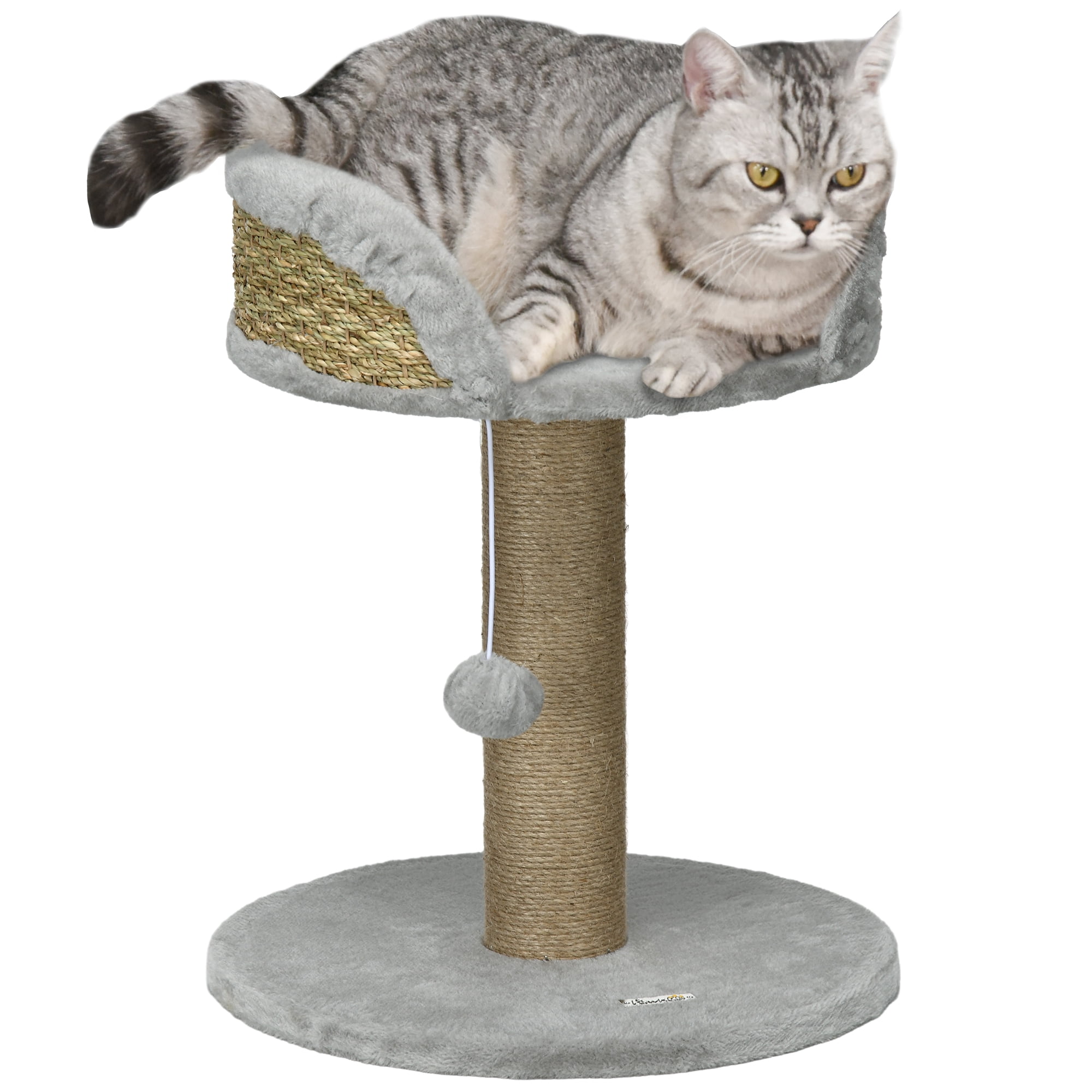 Click here for Pawhut Small Cat Tree With Scratching Post  Perch... prices