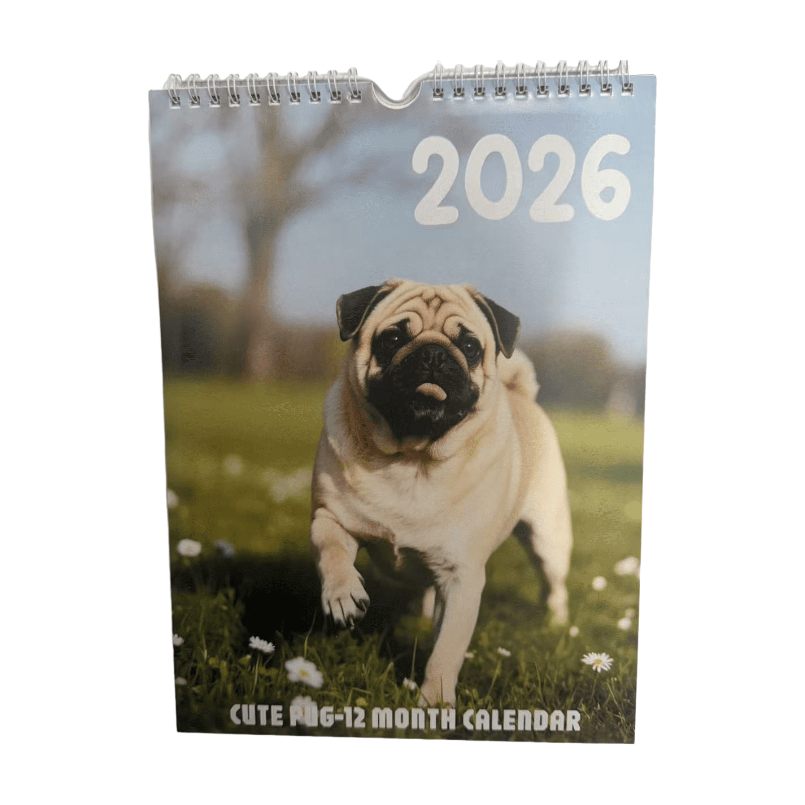 Pug Life 2026 Wall Calendar: A Daily Dose of Snorts & Wiggles 2028 desk ...