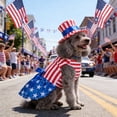 2Pcs Pet Independence Day Outfit Themed Striped Pet Skirt with Matching ...