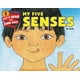 My Five Senses (Paperback) - Walmart.com