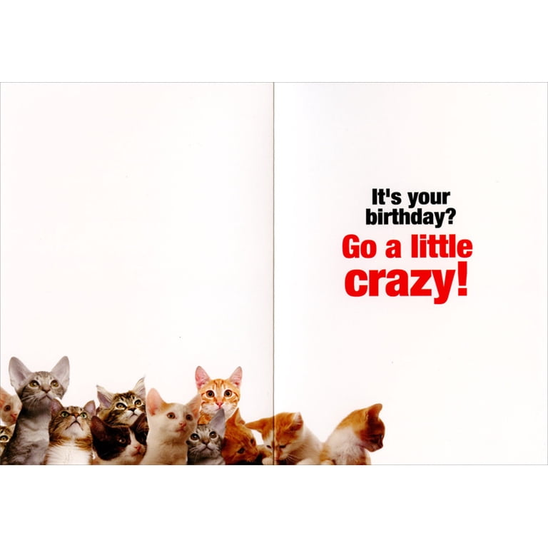 Crazy Cat Lady Starter Kit Envelope