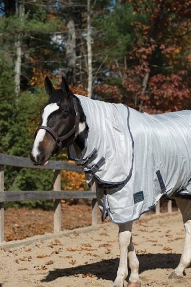 Tempest Neck and Fly Sheet Set (Silver/Gray, 72") - Walmart.com