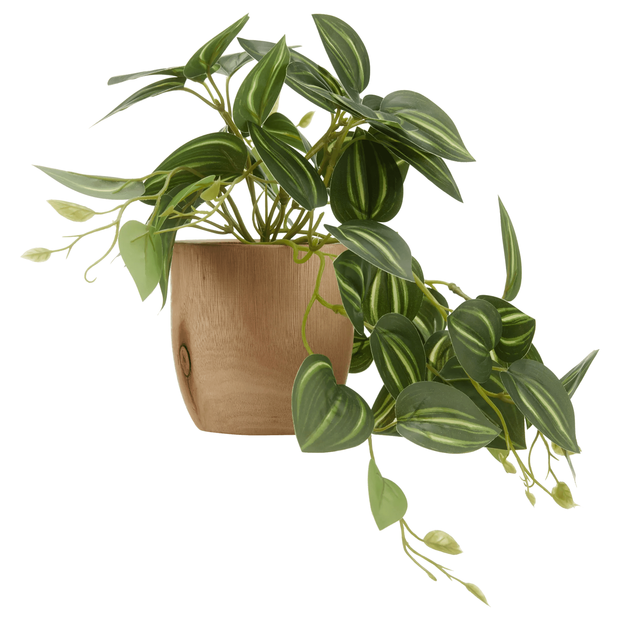 Click here for Bouclair Green Artificial Fittonia In Wood Pot 6 X... prices