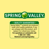 Spring Valley Iron Tablets, 27 mg, 250 Count - Walmart.com