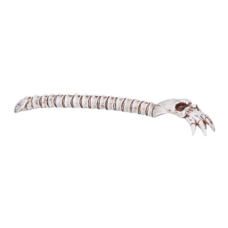 Skeleton Bone Back Scratcher Resin Skull Head Tail Bone - Walmart.com ...
