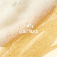 Luvscent Birthday Cake Scrub Wash for All Skin Types 16.9 fl oz ...