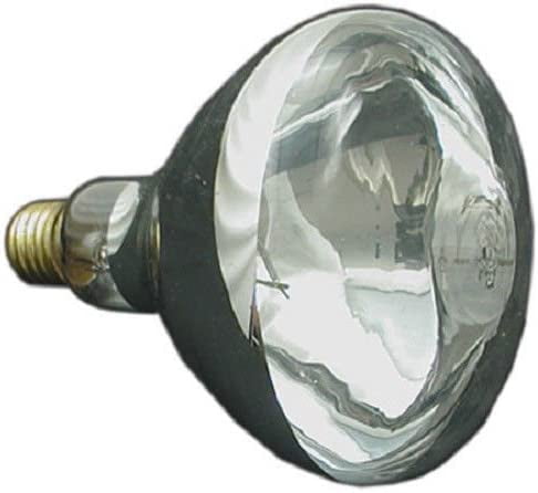 pool and spa light bulb feit electric fl-12 12v 300w 300r/fl-12 ...