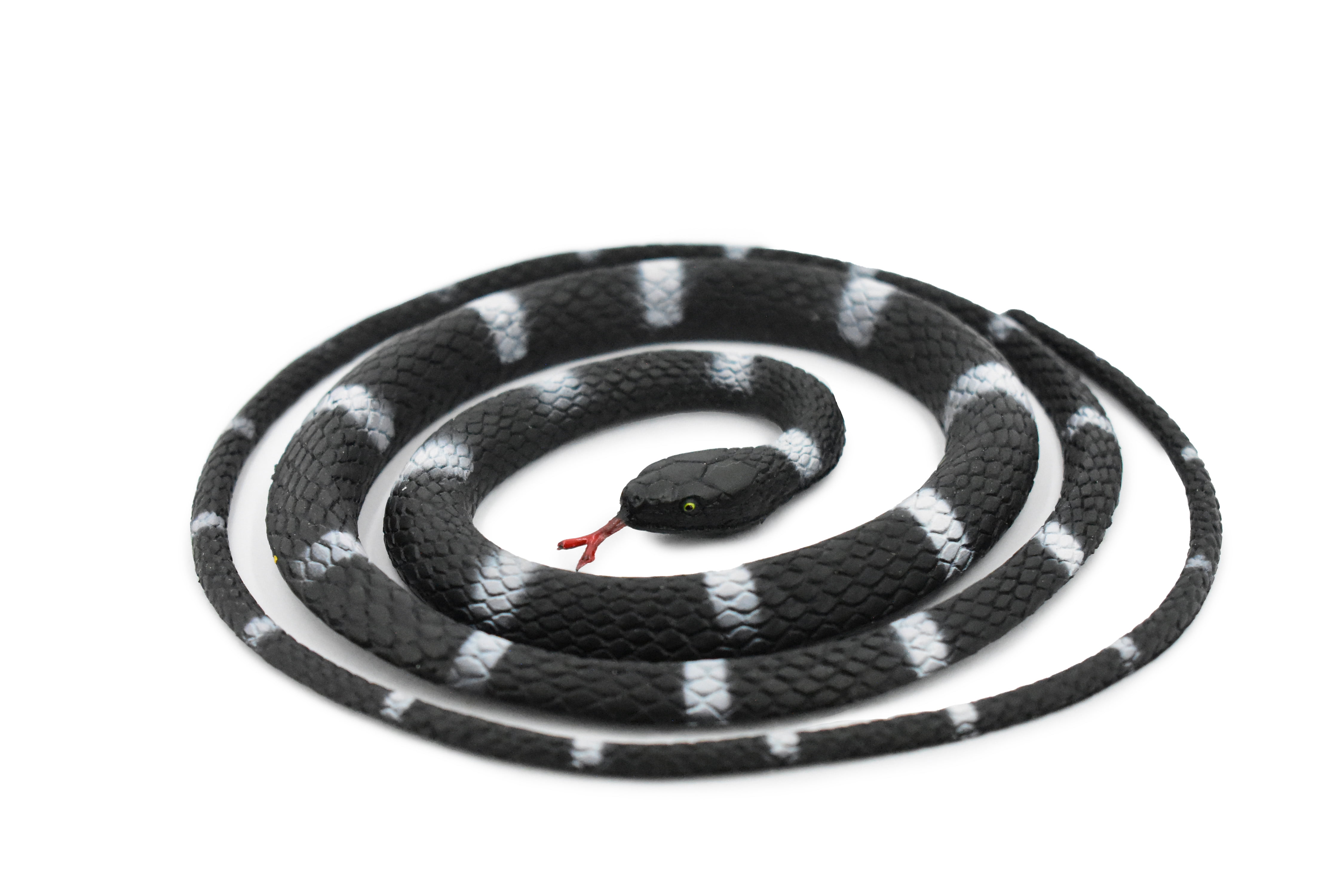 Snake, Black and White, Coiled, Rubber Reptile, Educational, Realistic ...