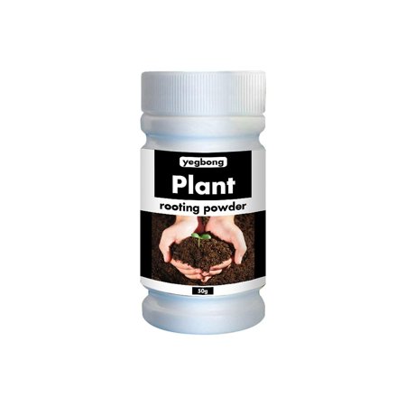 Lepai Rooting Gel Hormone For Cuttings 3.5oz For Professional And Home ...