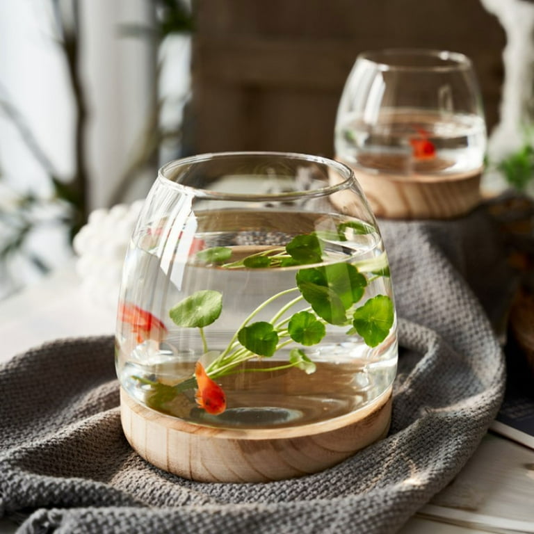 Modern Fish Bowls