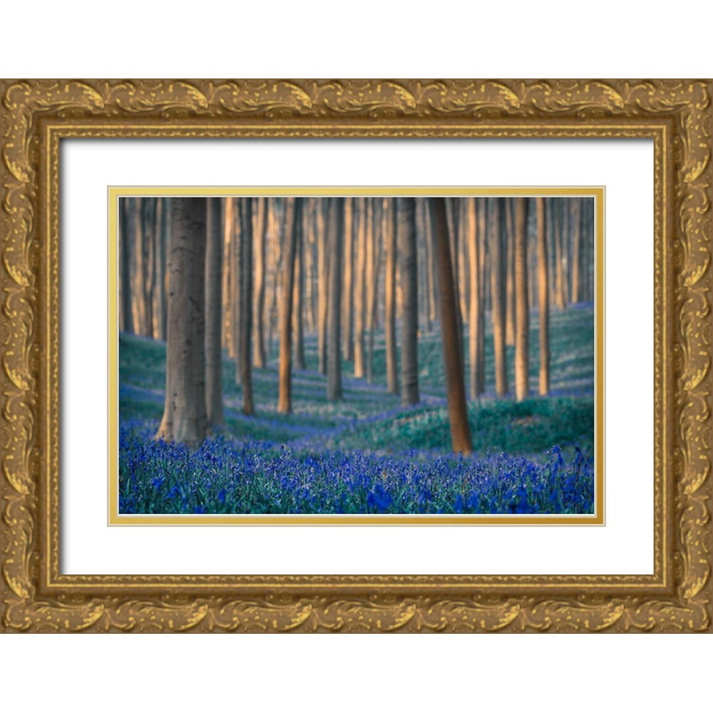 Popan, Adrian 24x17 Gold Ornate Wood Framed with Double Matting Museum ...