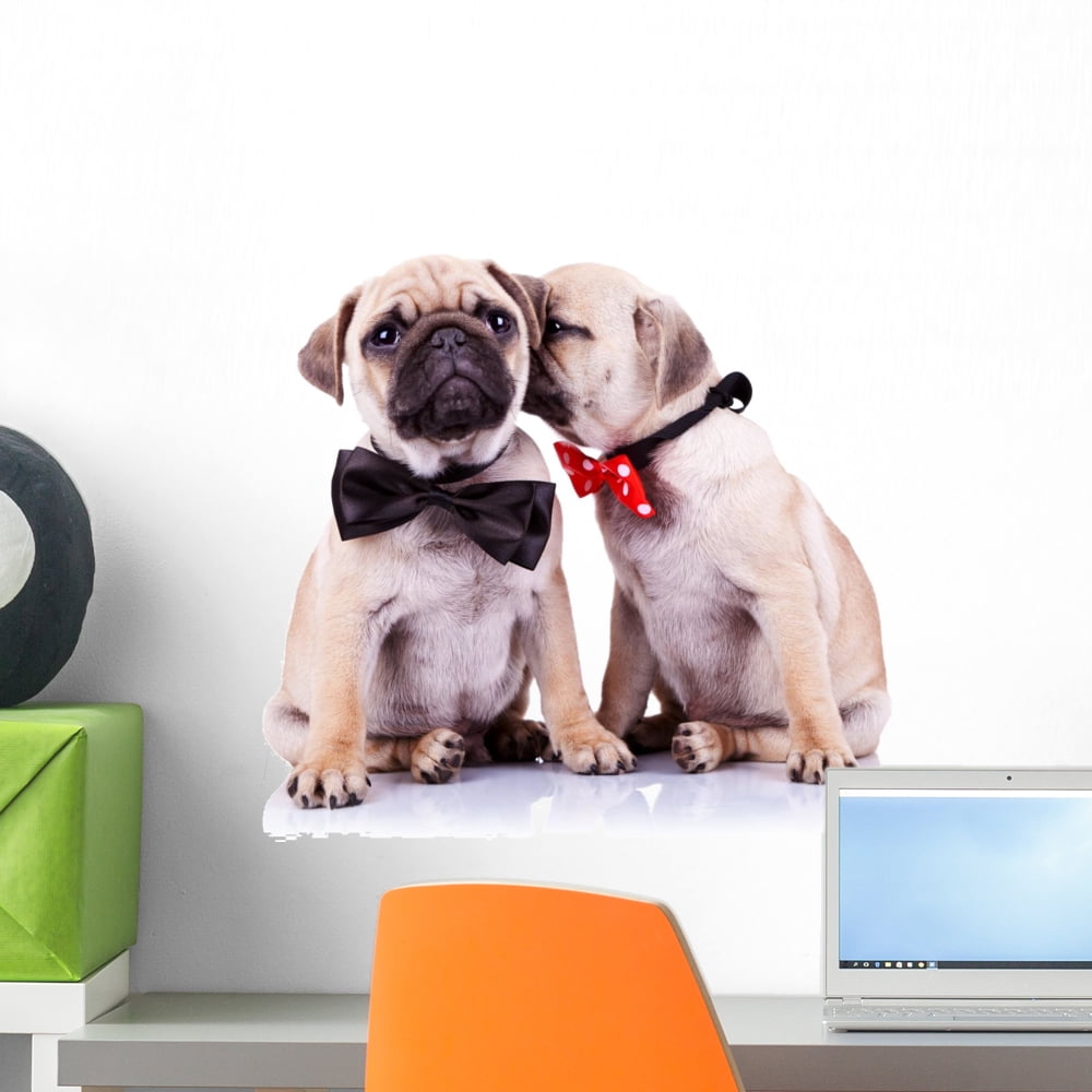 Adorable Pug Puppy Dogs Wall Mural by Wallmonkeys Peel and Stick ...