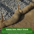 Farm Plastic Supply - Straw Wattle 12" x 20' Pallet - 10 Rolls - Straw ...
