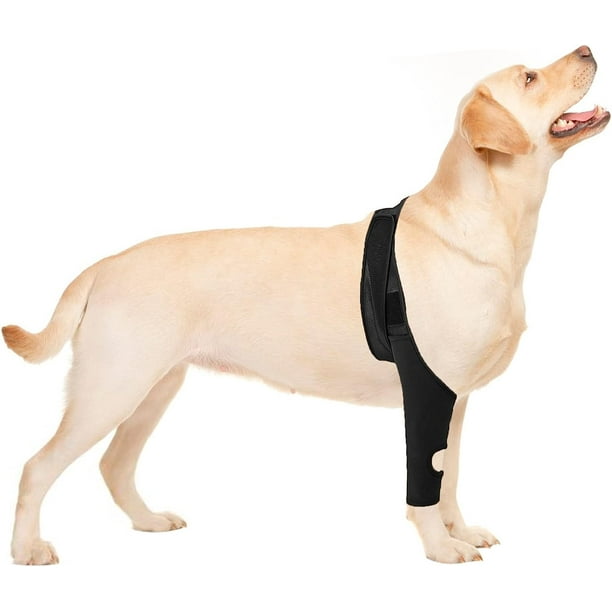 Protector de patas traseras para perros, protege heridas y esguinces de ...