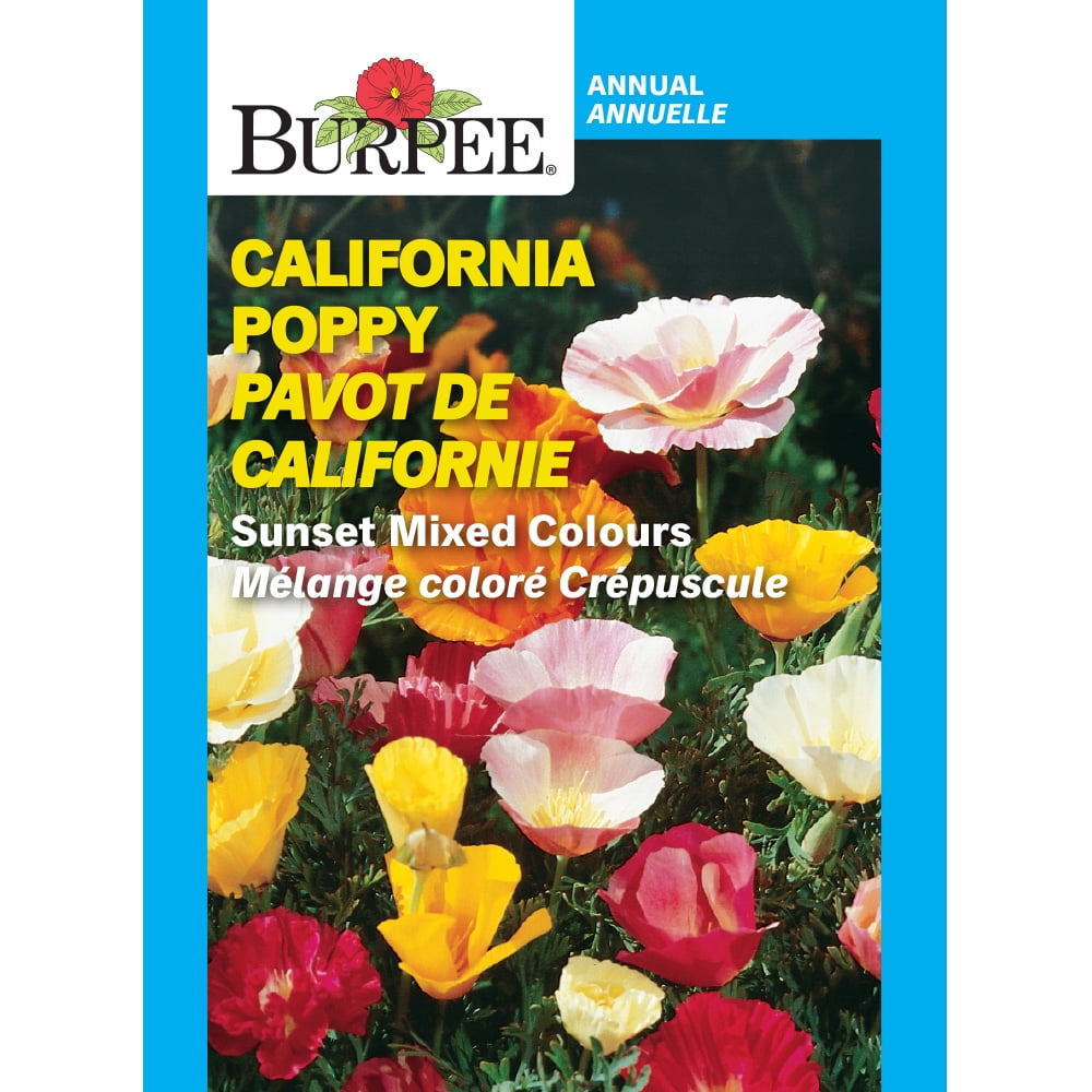 Click here for Burpee Canada Burpee Sunset Mixed Colours Californ... prices
