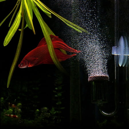 Transparent Bubble Counter, Acrylic Aquarium Bubble Counter With Bubble ...