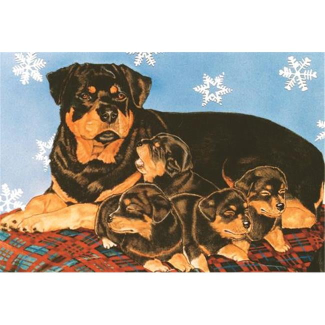Rottweiler Holiday Boxed Cards - Walmart.com