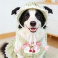2 Pcs Pet Floral Dress with Lace Sunhat, Summer Skirt Bowknot Design ...
