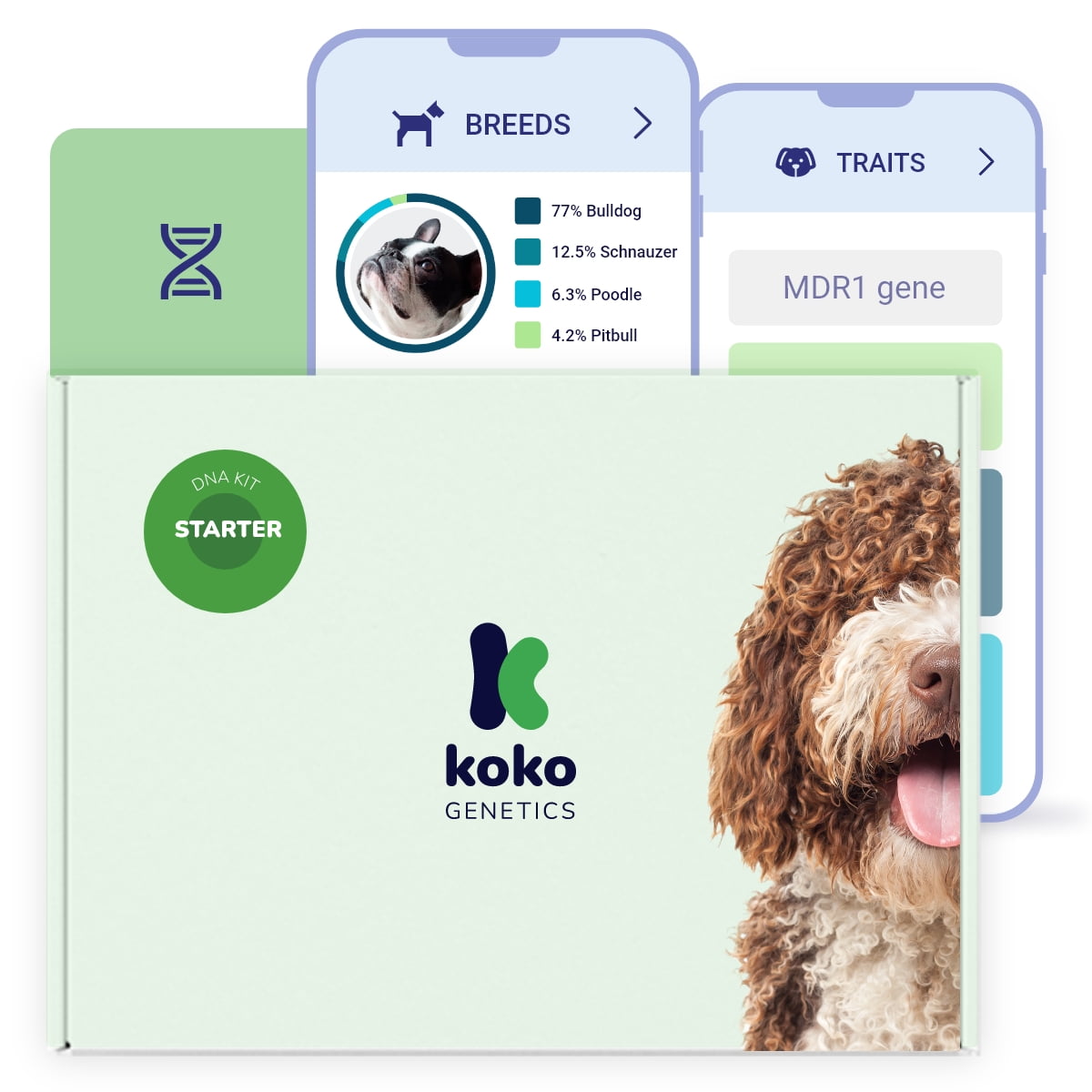Click here for Koko Genetics Dog Dna Test Starter Range Breeds &... prices