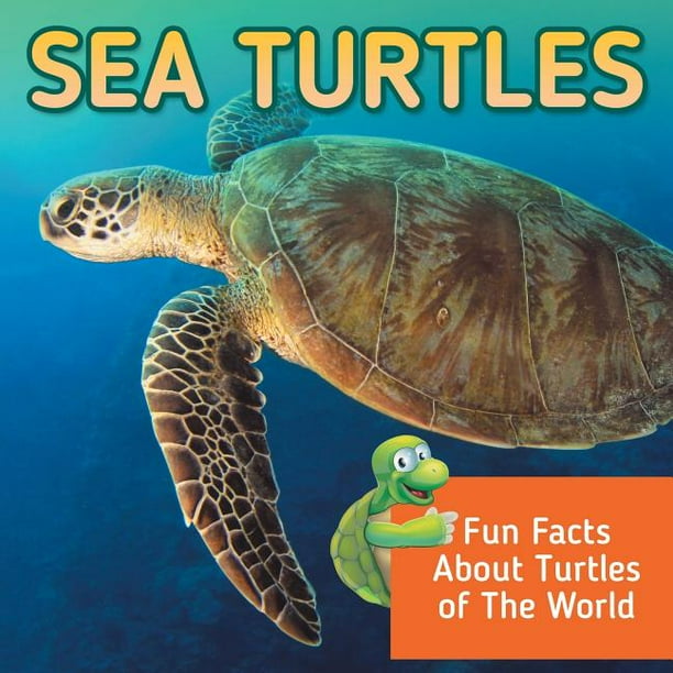 Sea Turtles : Fun Facts About Turtles of The World (Paperback ...