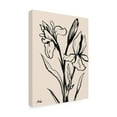 Grace Popp 'Iris Sketch IV' Canvas Art - Walmart.com