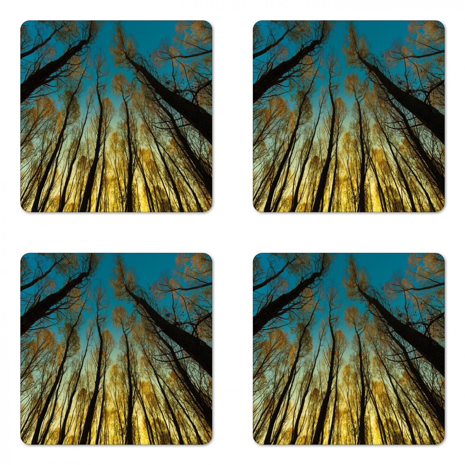 Forest Coaster Set of 4, Rural Scenery with Trees Reaching out to Sky ...