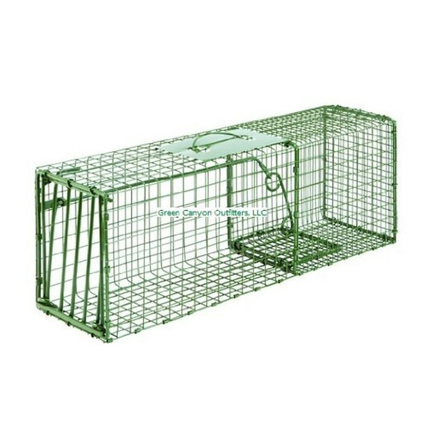 Skunk Traps