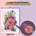 A4 Large Dried Pressed Flowers for Resin Purple Pressed Flowers Real ...