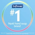 Softsoap Fresh Kitchen Disinfectant Hand Soap, Antibacterial Clean ...