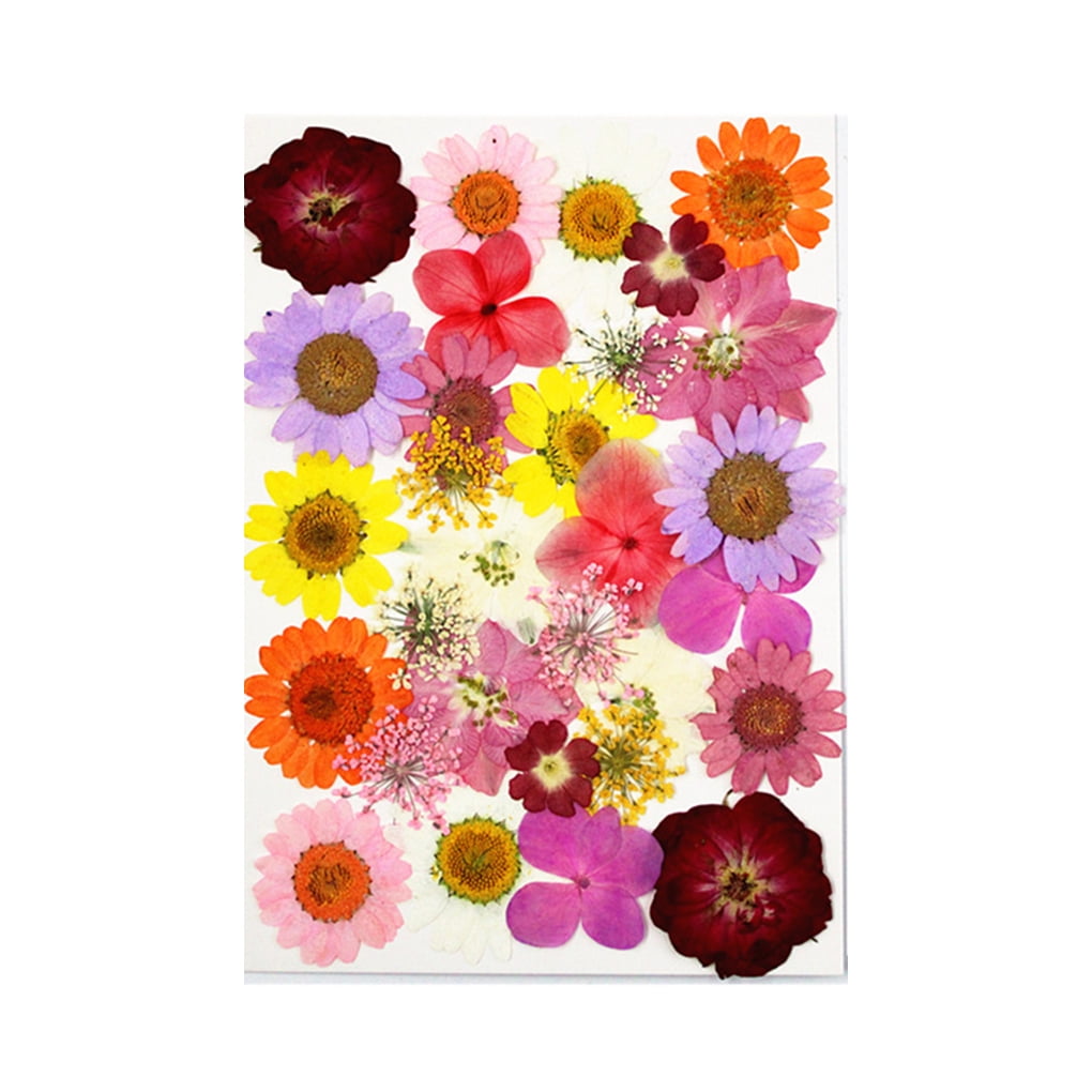unbranded Dried Flowers Set Scrapbooking Decorating Real Flower Decal ...