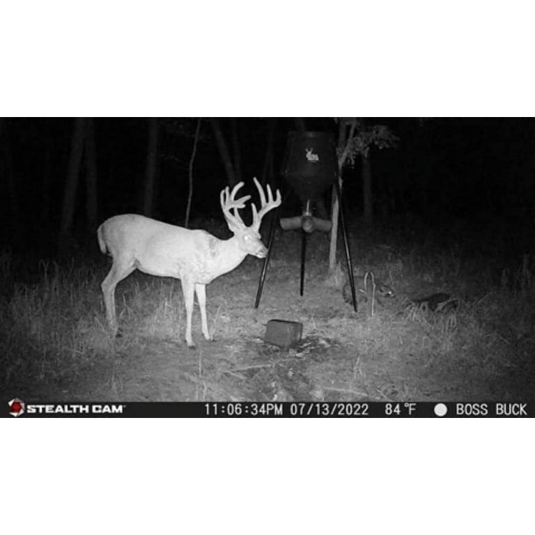 Stealth Cam Qs14 Fx Stealth Cam Browtine 16MP Trail Camera 12-Pack ...