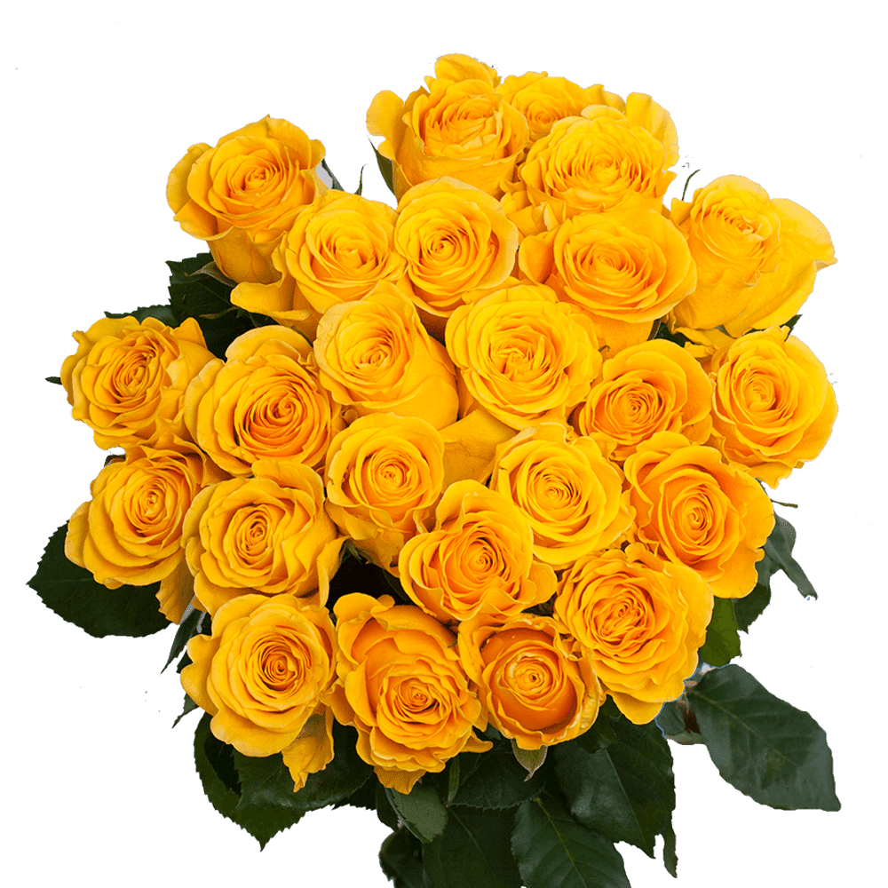 Fresh Cut Yellow Roses Bouquet at Imogen Parry-okeden blog