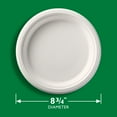 Hefty ECOSAVE Strong Dinner Package: Compostable Paper Plates, 8 3/4 ...