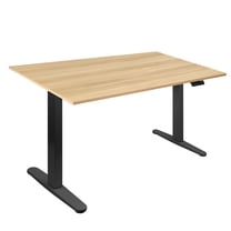 Dual Motor Electric Standing Desk with 55" Tabletop - Black Base ...