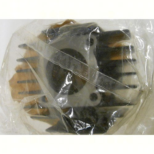 Yamaha 4J2-11311-01-00 Cylinder 1; 4J2113110100 - Walmart.com
