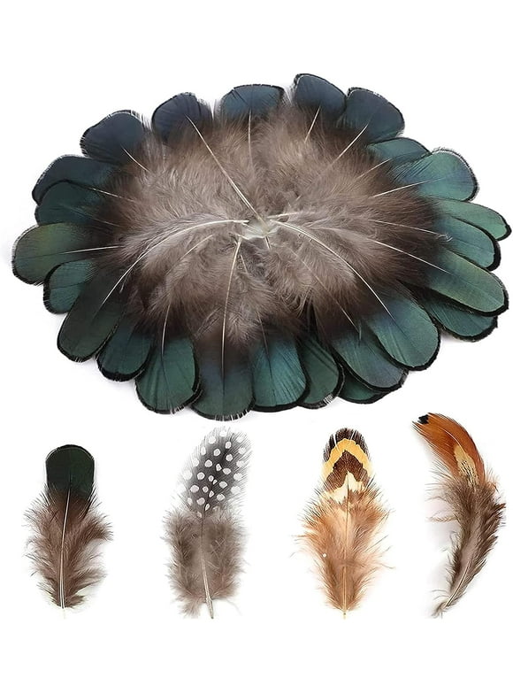 Craft Feathers in Basic Craft Supplies - Walmart.com