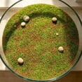A Green Aquarium Grass Mat For Substrate 60X40Cm Artificial Plant ...