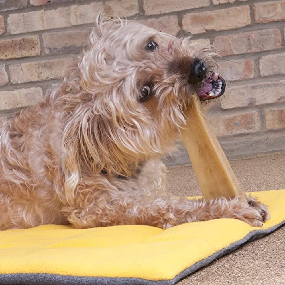 Buy Downtown Pet Supply - Monster Yak Cheese Himalayan Dog Chews ...