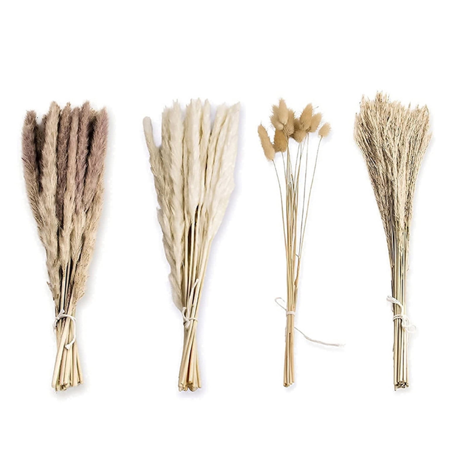 DISHAN Natural Dried Reed Grass Bouquet - 1 Bunch, No Watering, Non ...