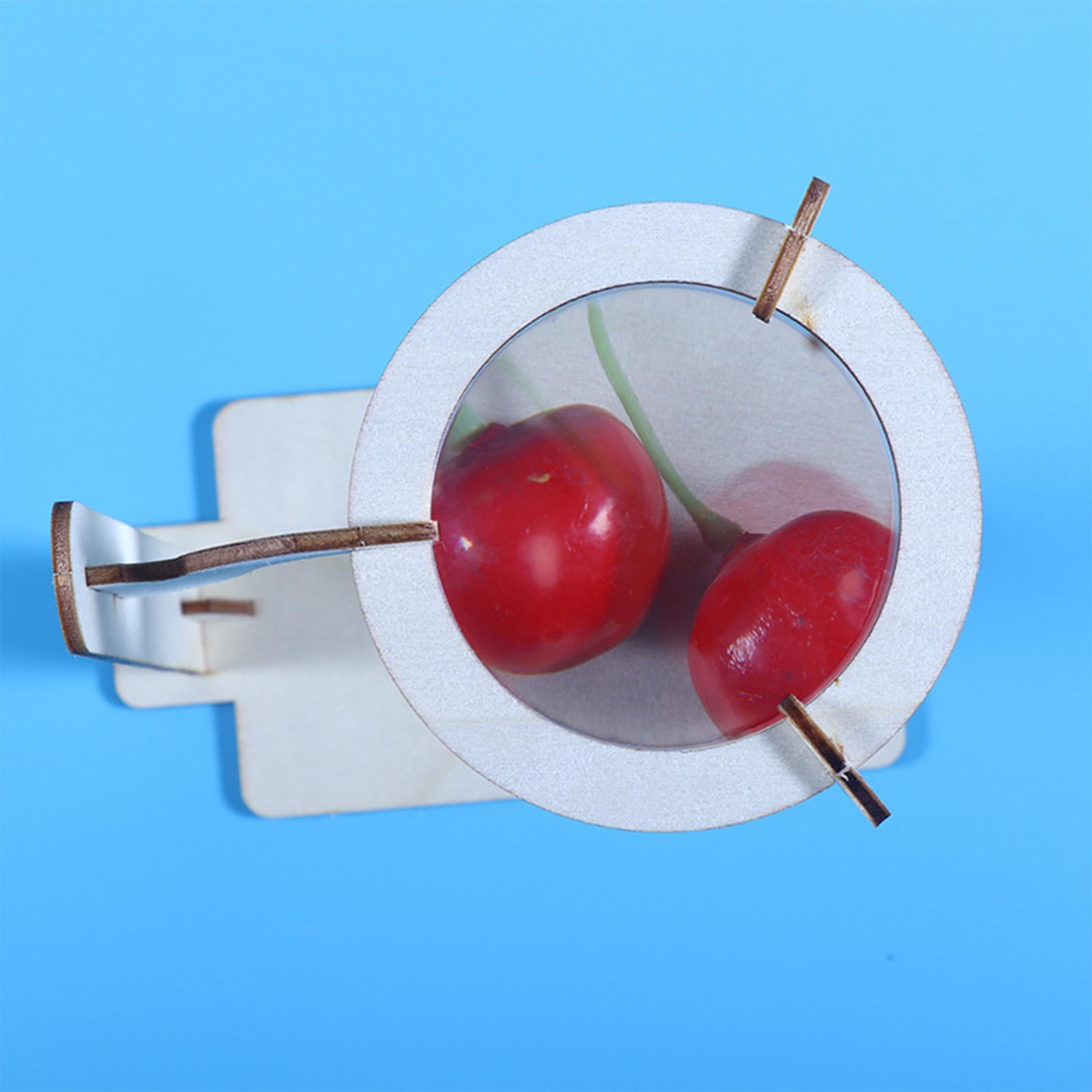 Wood DIY Magnifier Kit, Preschool Learning Activities DIY Magnifying ...